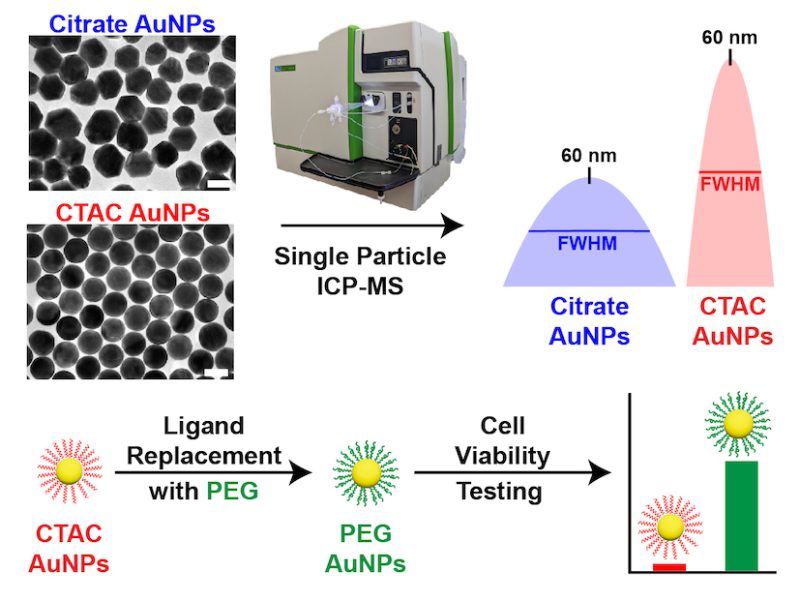 Wilhelm Lab – Biomedical Nano-Engineering Laboratory