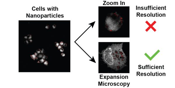 Wilhelm Lab – Biomedical Nano-Engineering Laboratory