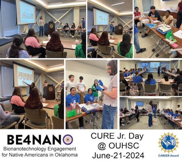 Wilhelm Lab – Biomedical Nano-Engineering Laboratory